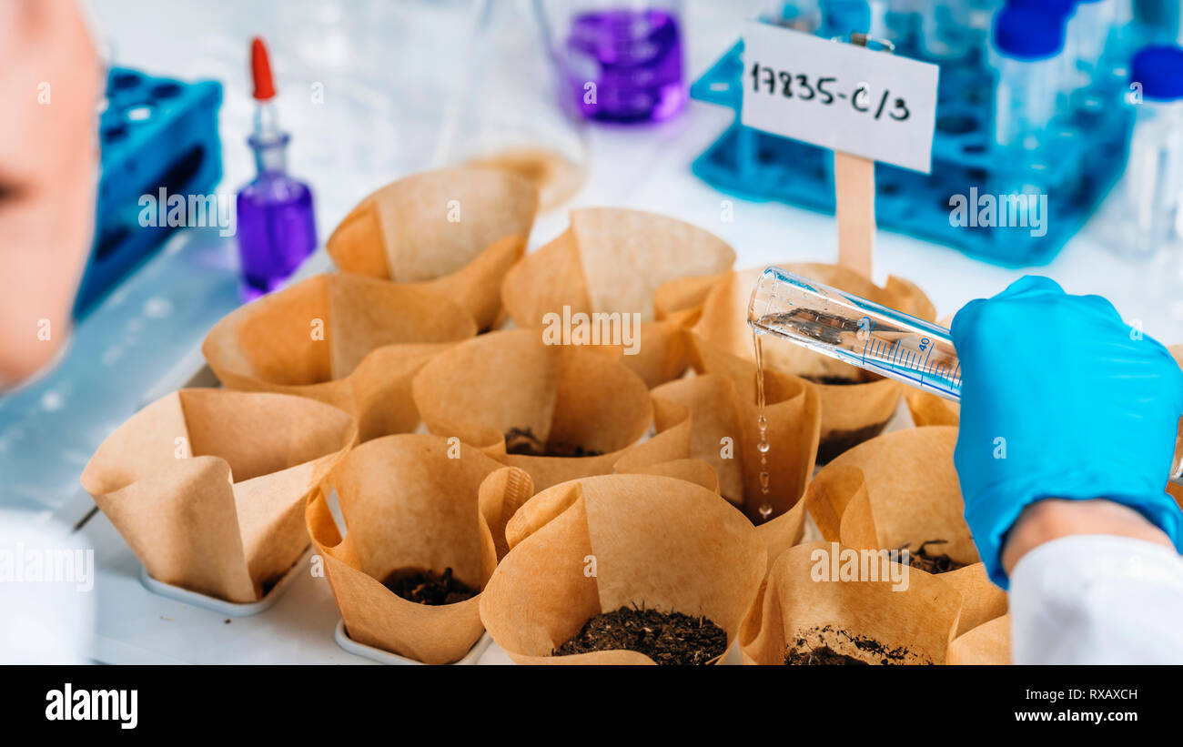 Watering samples in soil science laboratory Stock Photo - Alamy