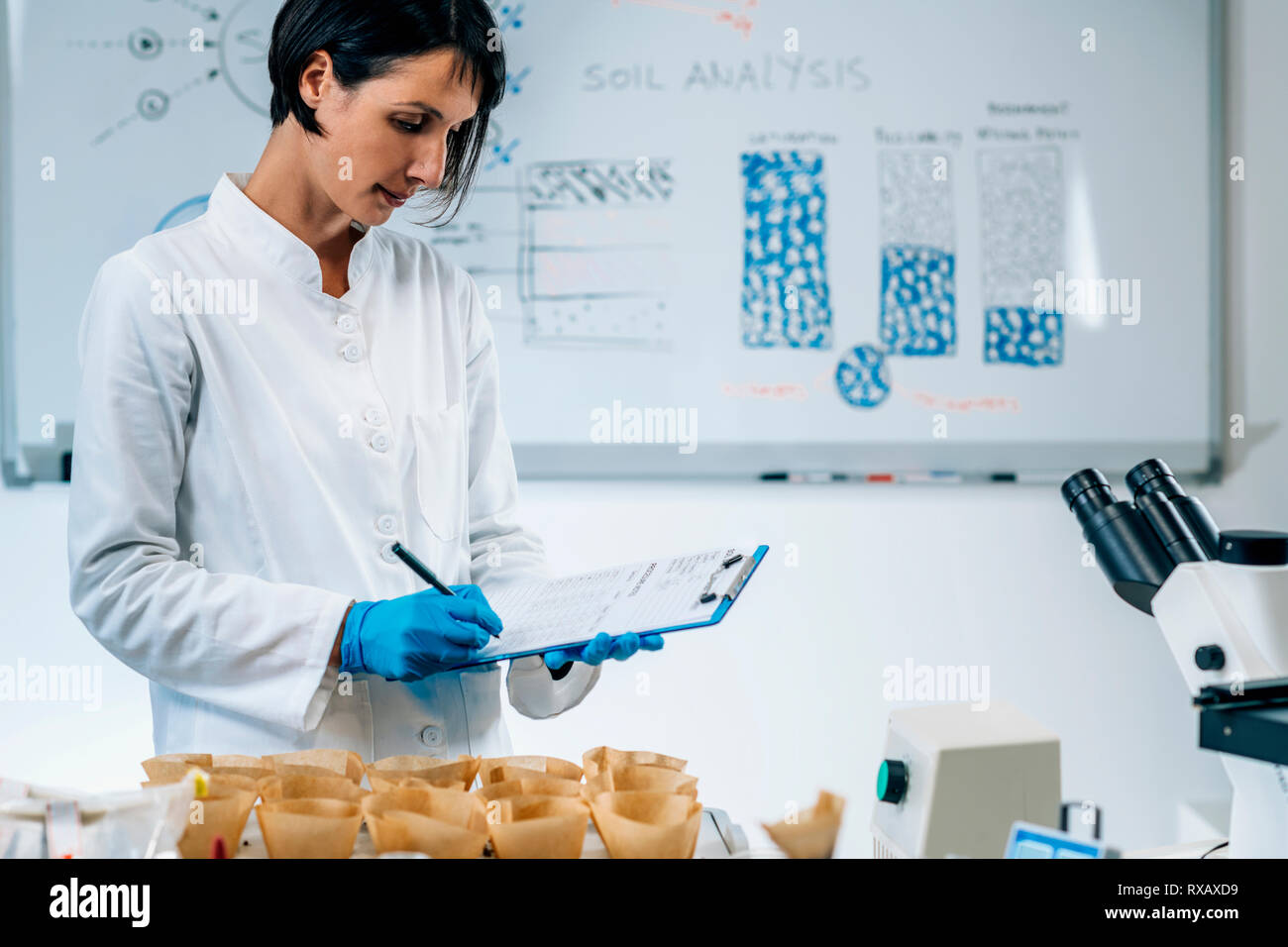 Soil scientist taking notes in laboratory Stock Photo - Alamy