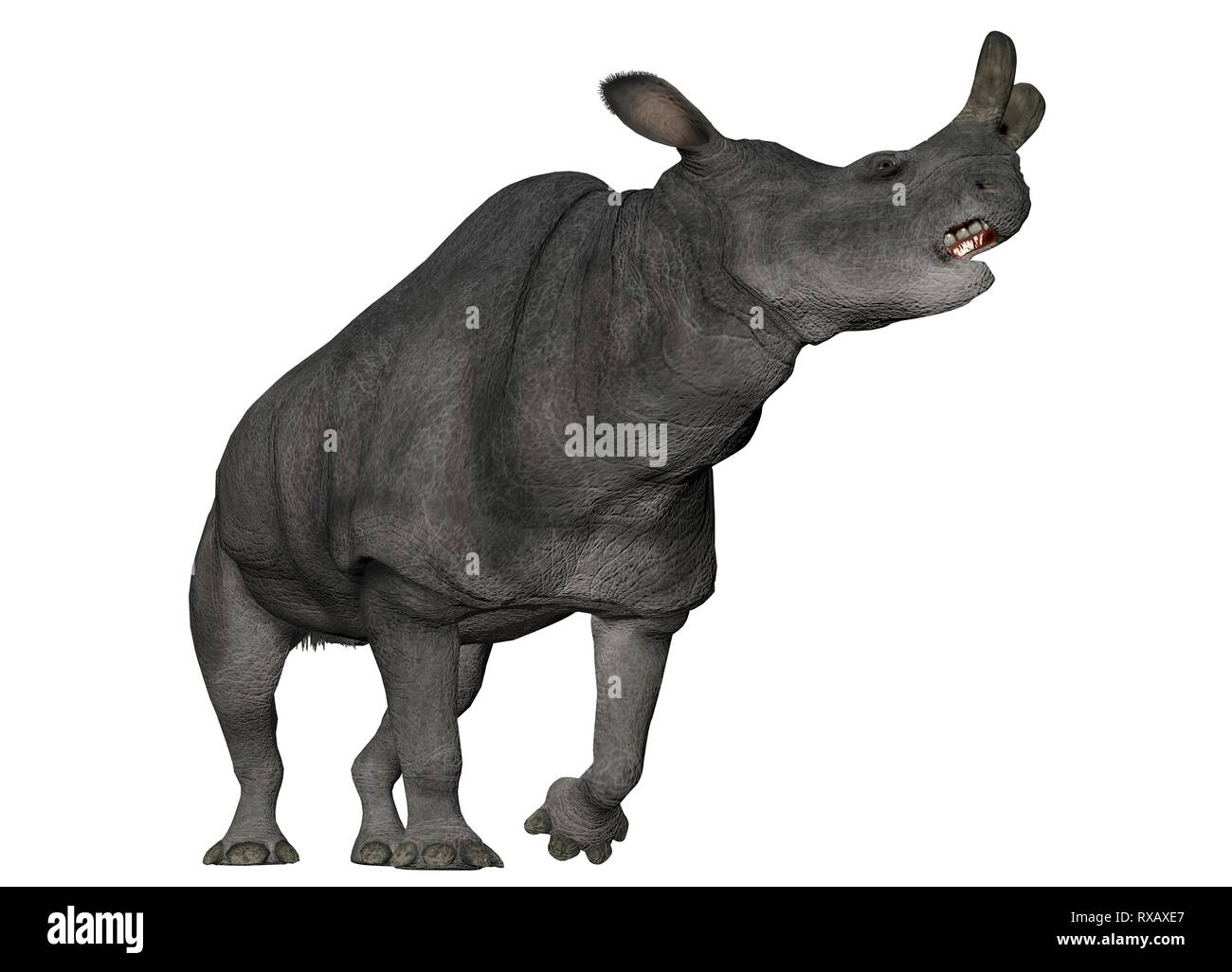Megacerops hi-res stock photography and images - Alamy