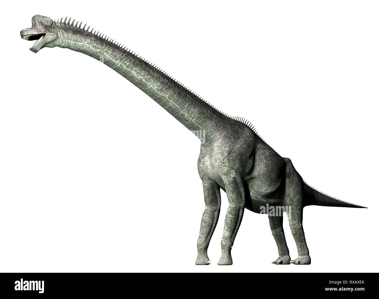 Artwork brachiosaurus hi-res stock photography and images - Alamy