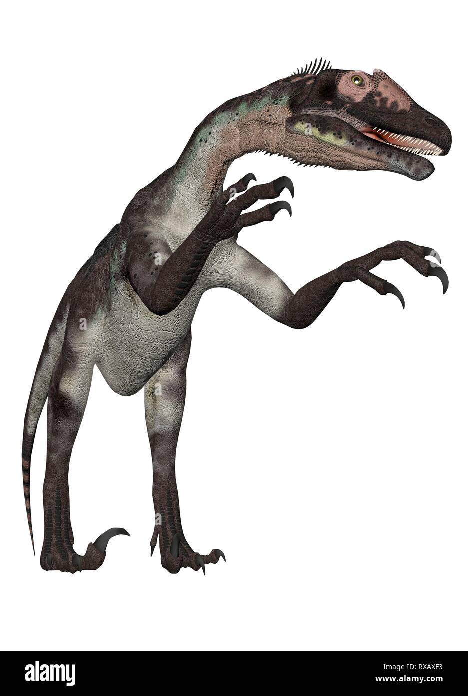 Utahraptor hi-res stock photography and images - Alamy