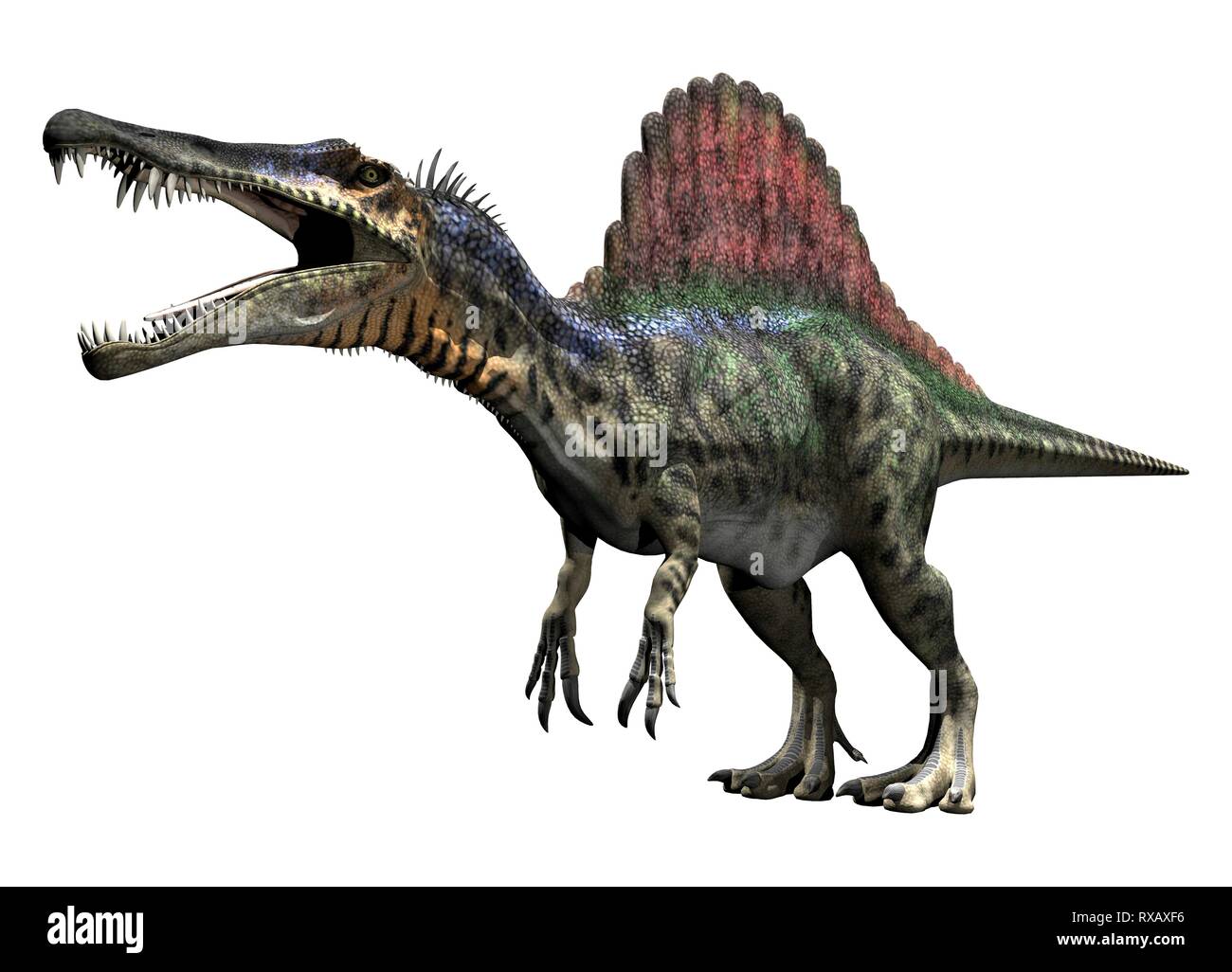 Spinosaurus 3d hi-res stock photography and images - Alamy