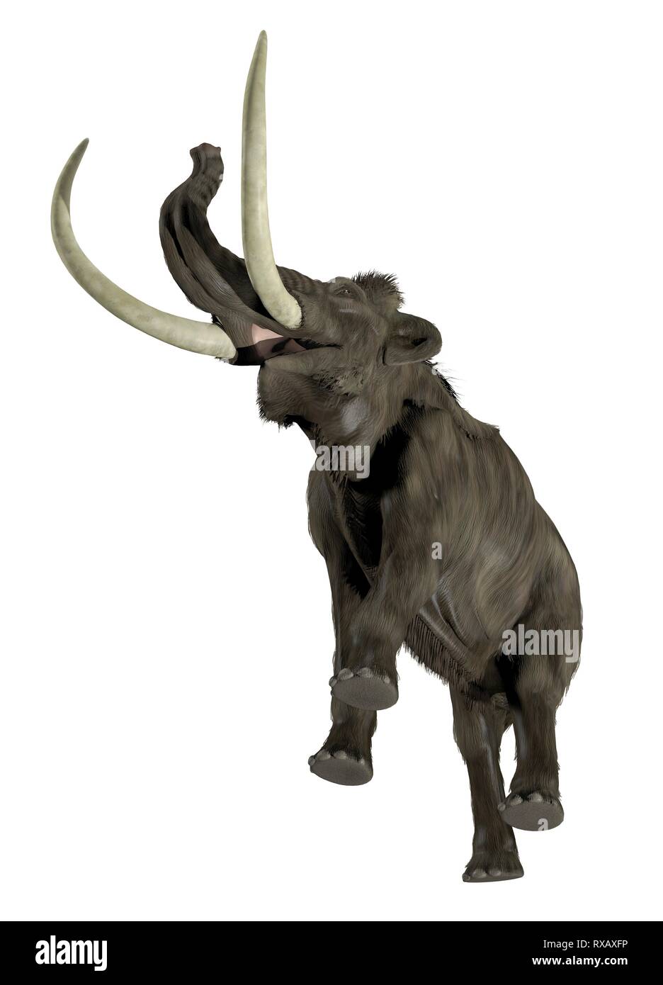 Woolly mammoth, illustration Stock Photo - Alamy