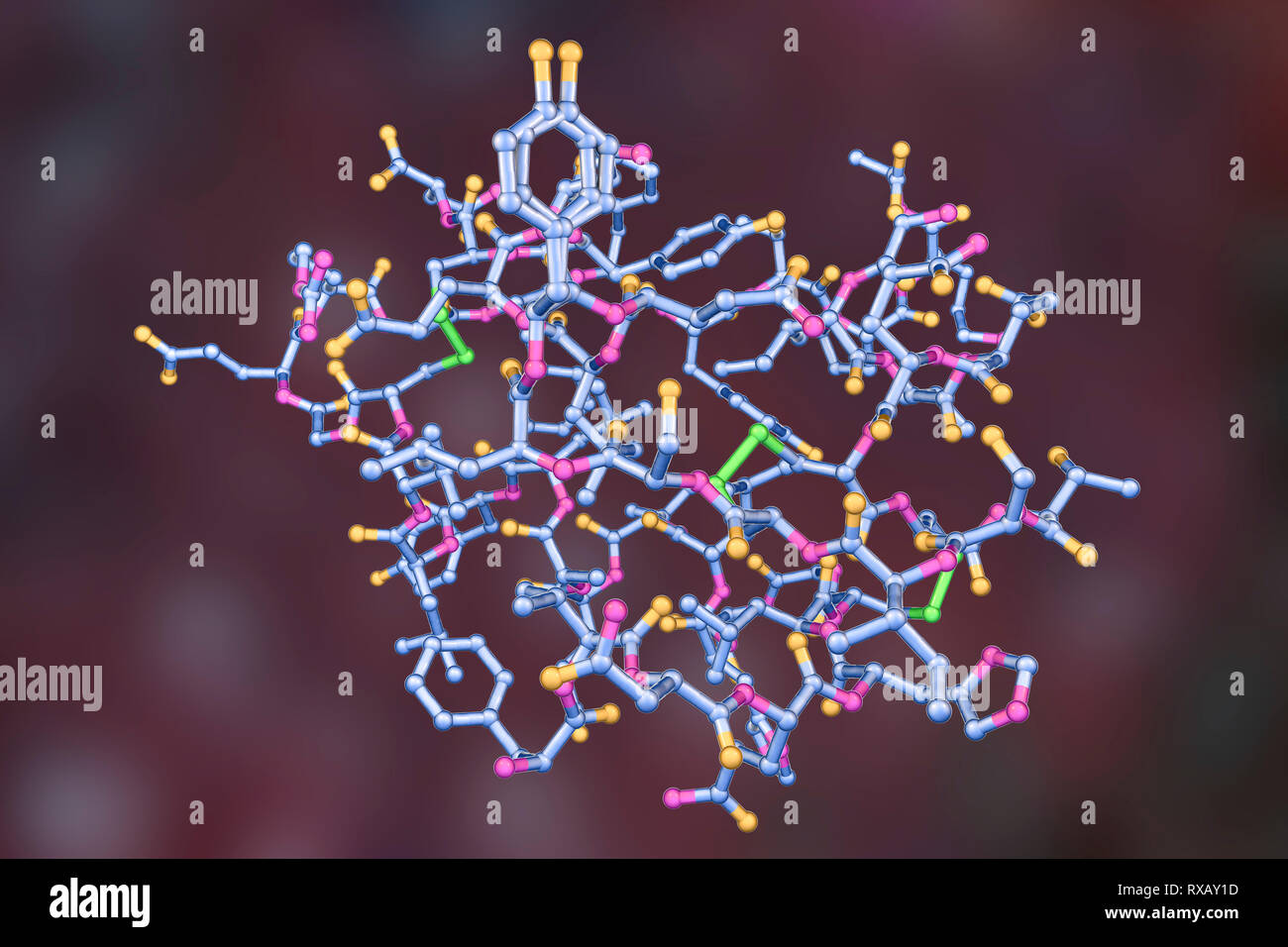 Insulin hormone molecule, illustration Stock Photo - Alamy