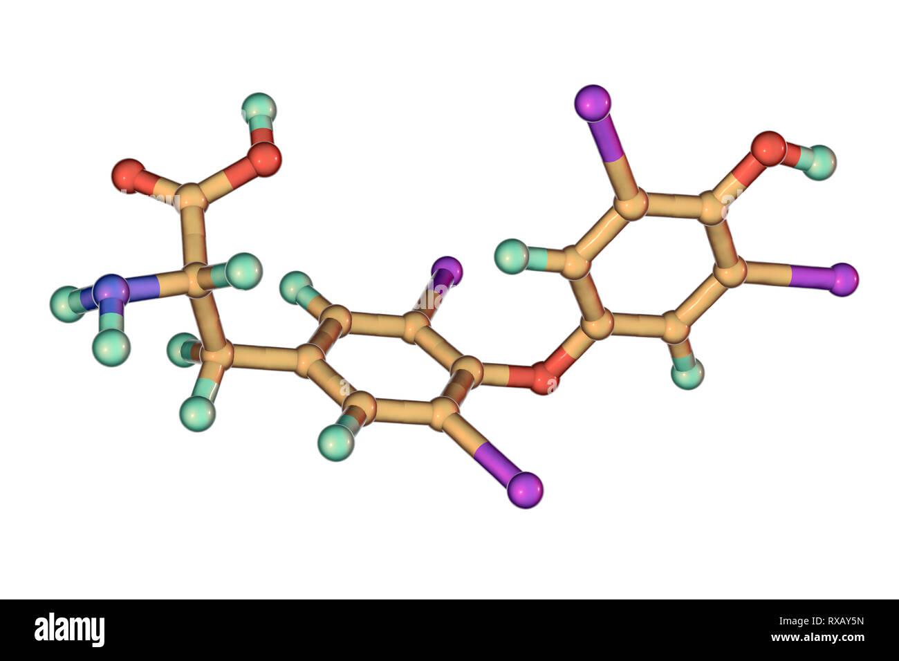 Biochemical processes hi-res stock photography and images - Alamy