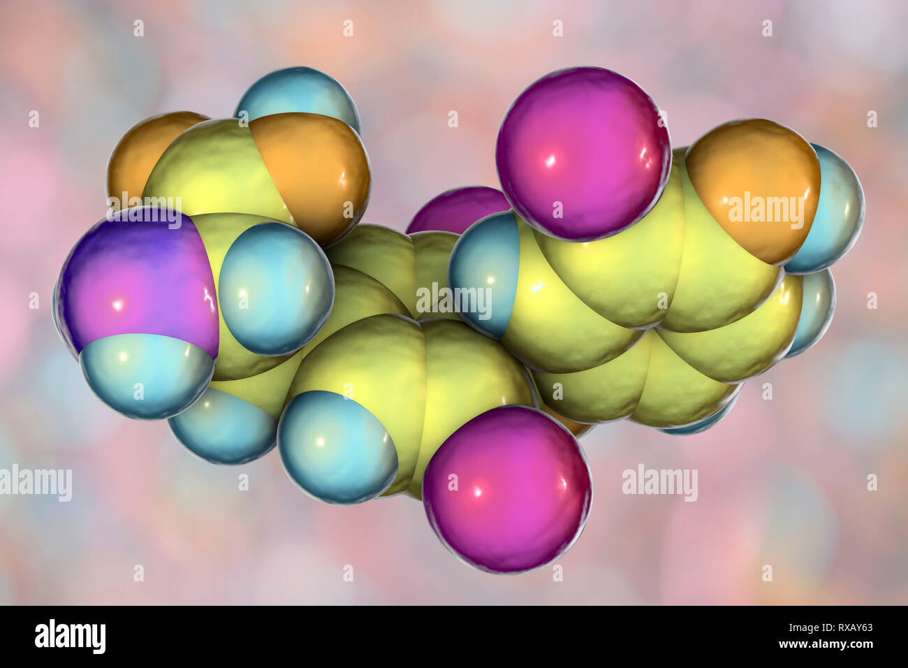 3d model body structure hi-res stock photography and images - Alamy