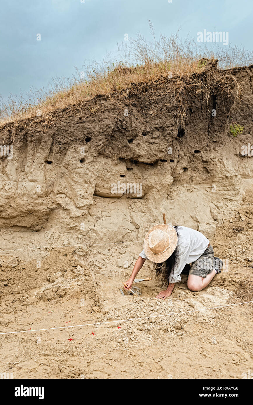 Excavation and archaeology measure hi-res stock photography and images ...