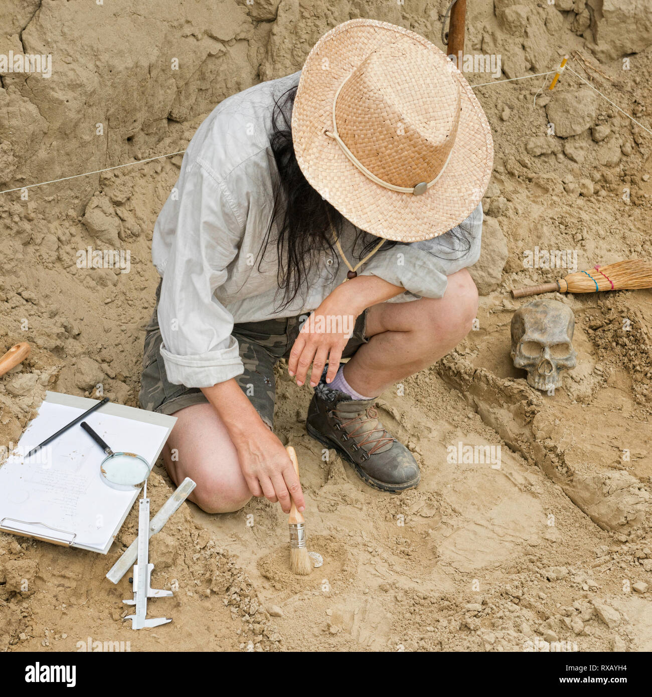 Archaeologist digging tool hi-res stock photography and images - Alamy