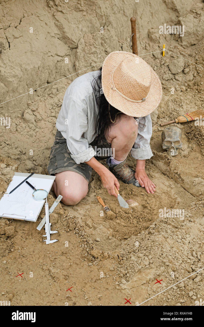 Archaeologist digging hi-res stock photography and images - Alamy