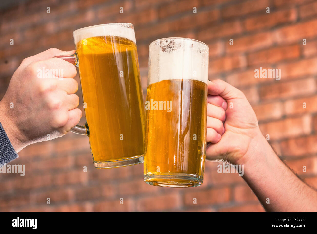 Beer stein toast hi-res stock photography and images - Alamy