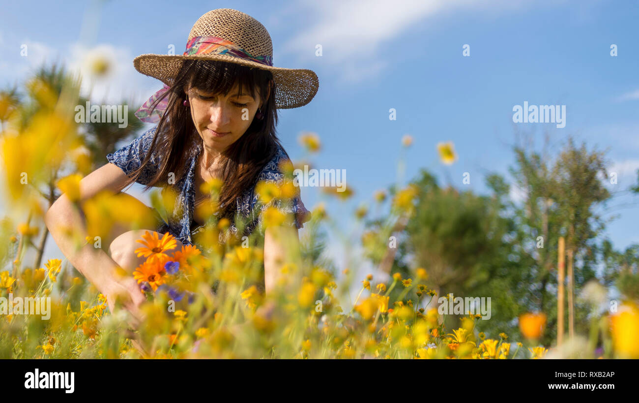 Plucking and woman hi-res stock photography and images - Alamy
