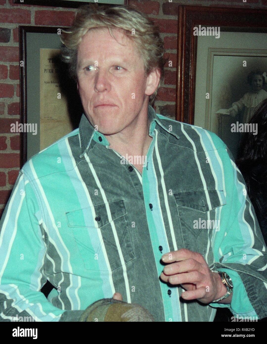 Gary Busey 1995 Photo By John Barrett/PHOTOlink /MediaPunch Stock Photo ...