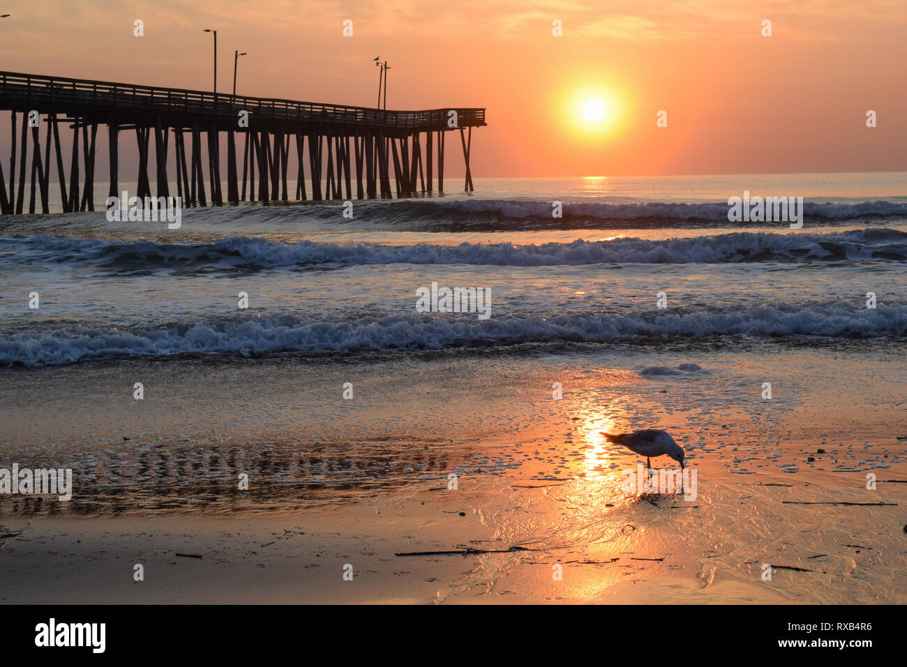 sunrise with a seagull and pier Stock Photo - Alamy