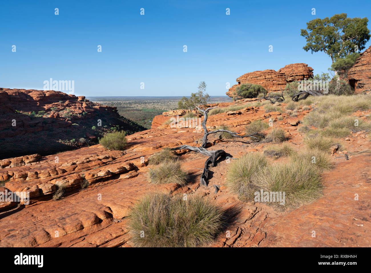Kings canyon rim nt hi-res stock photography and images - Alamy