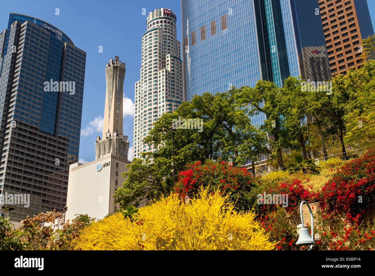 Modern buildings and blossom trees. Downtown Los Angeles, beautiful ...