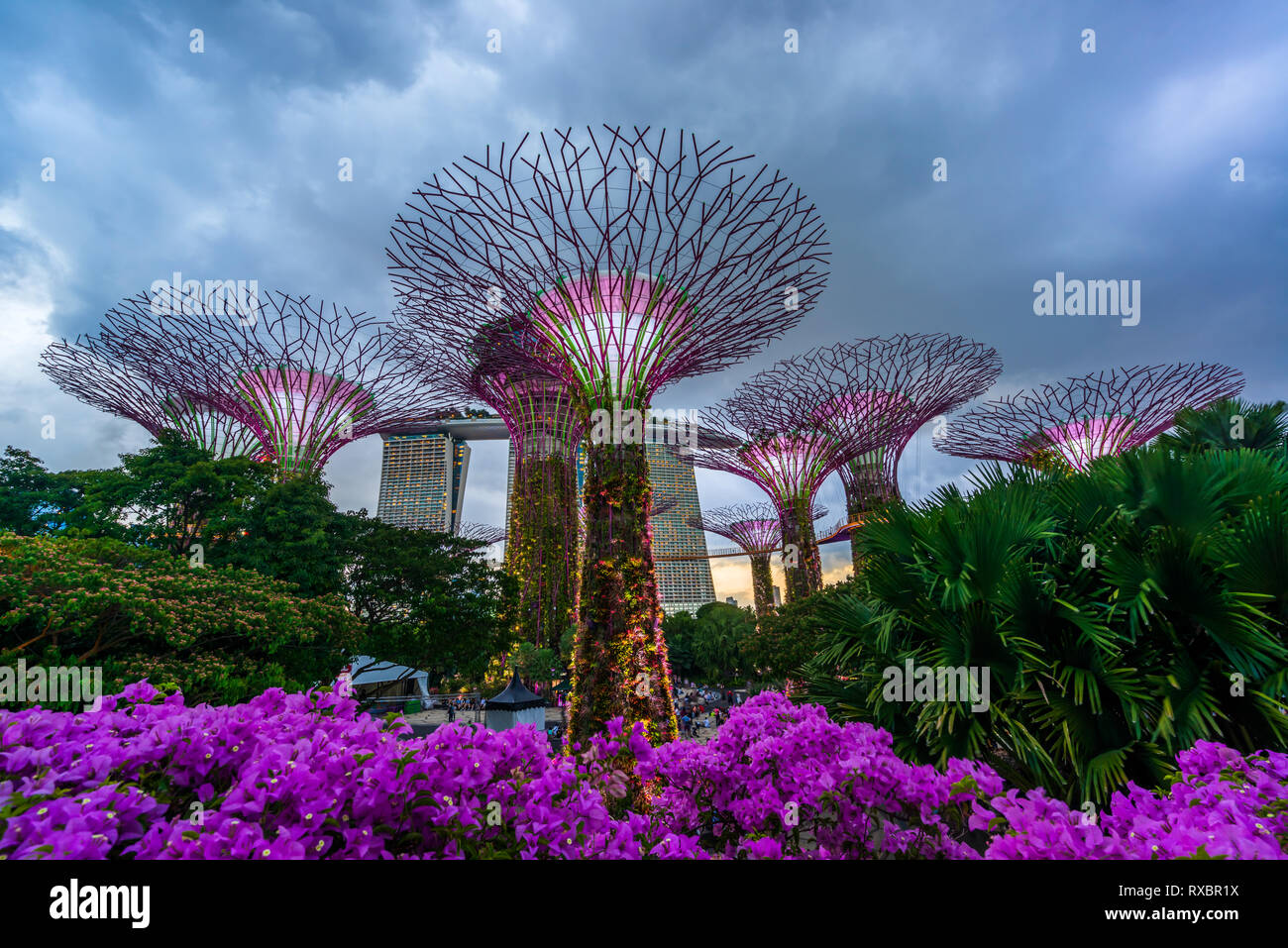 SINGAPORE CITY, SINGAPORE - FEBRUARY 03, 2019: Gardens by the bay in ...