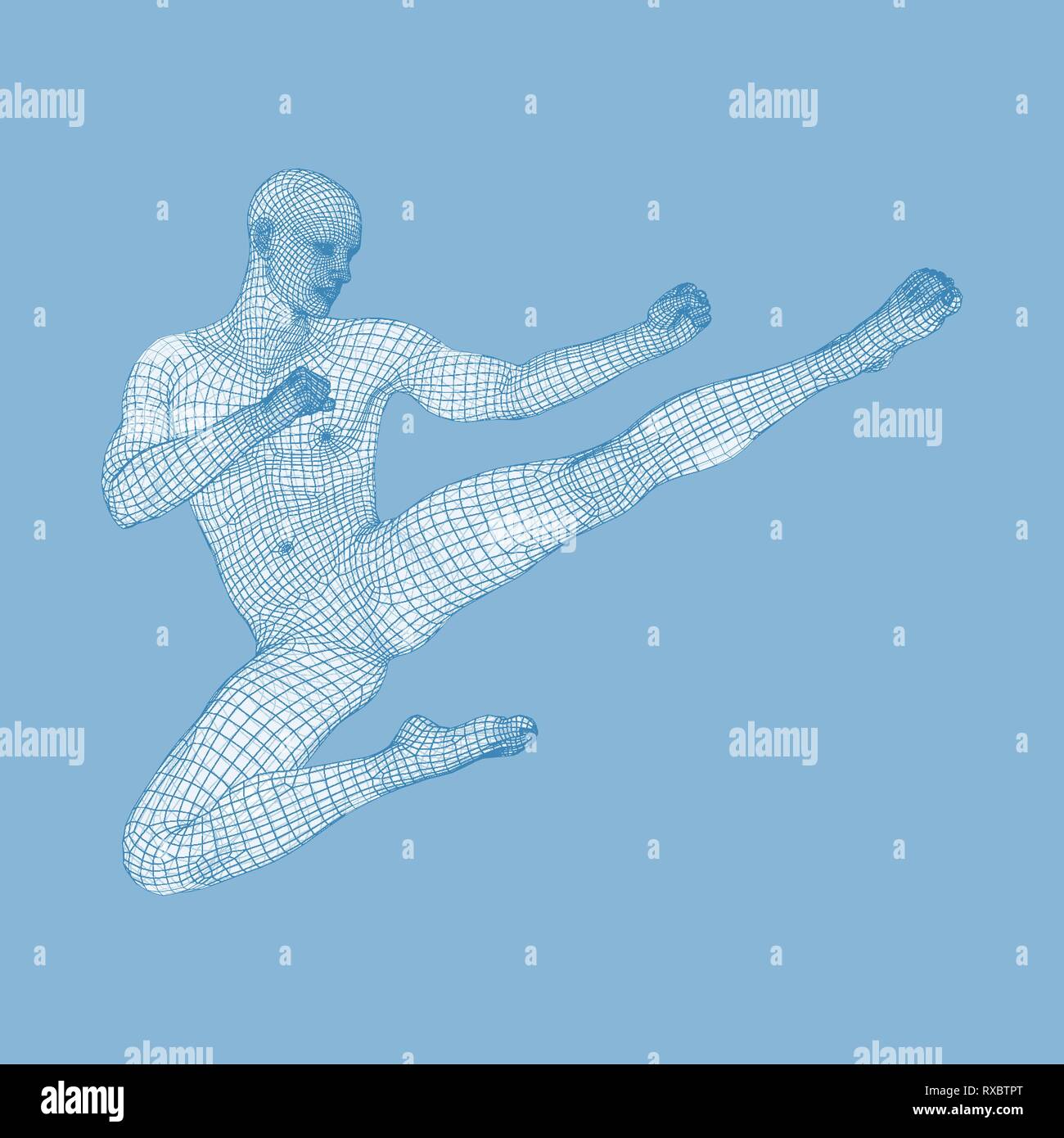 Karate and Kung Fu. Karate Jump Kick. Fighter. 3D Model of Man. Human ...