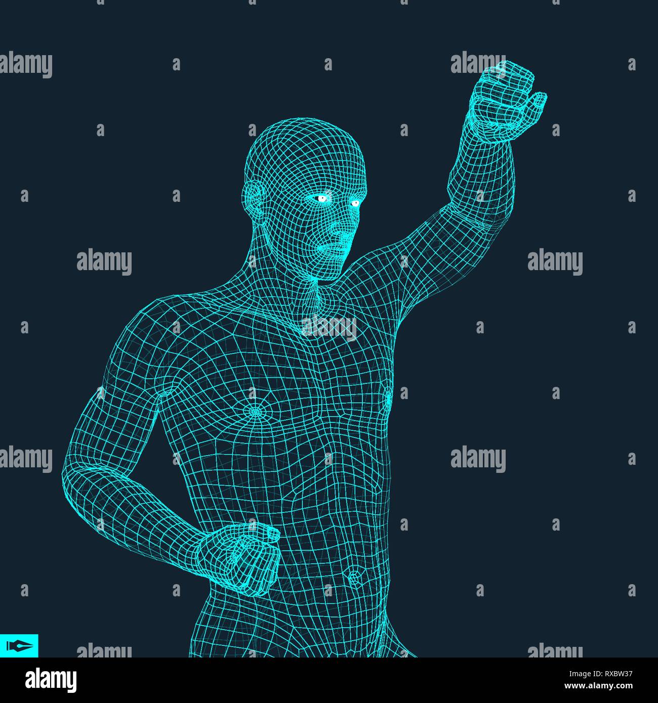Boxer. Fighting Man. 3D Model of Man. Polygonal Design. Sport Symbol ...