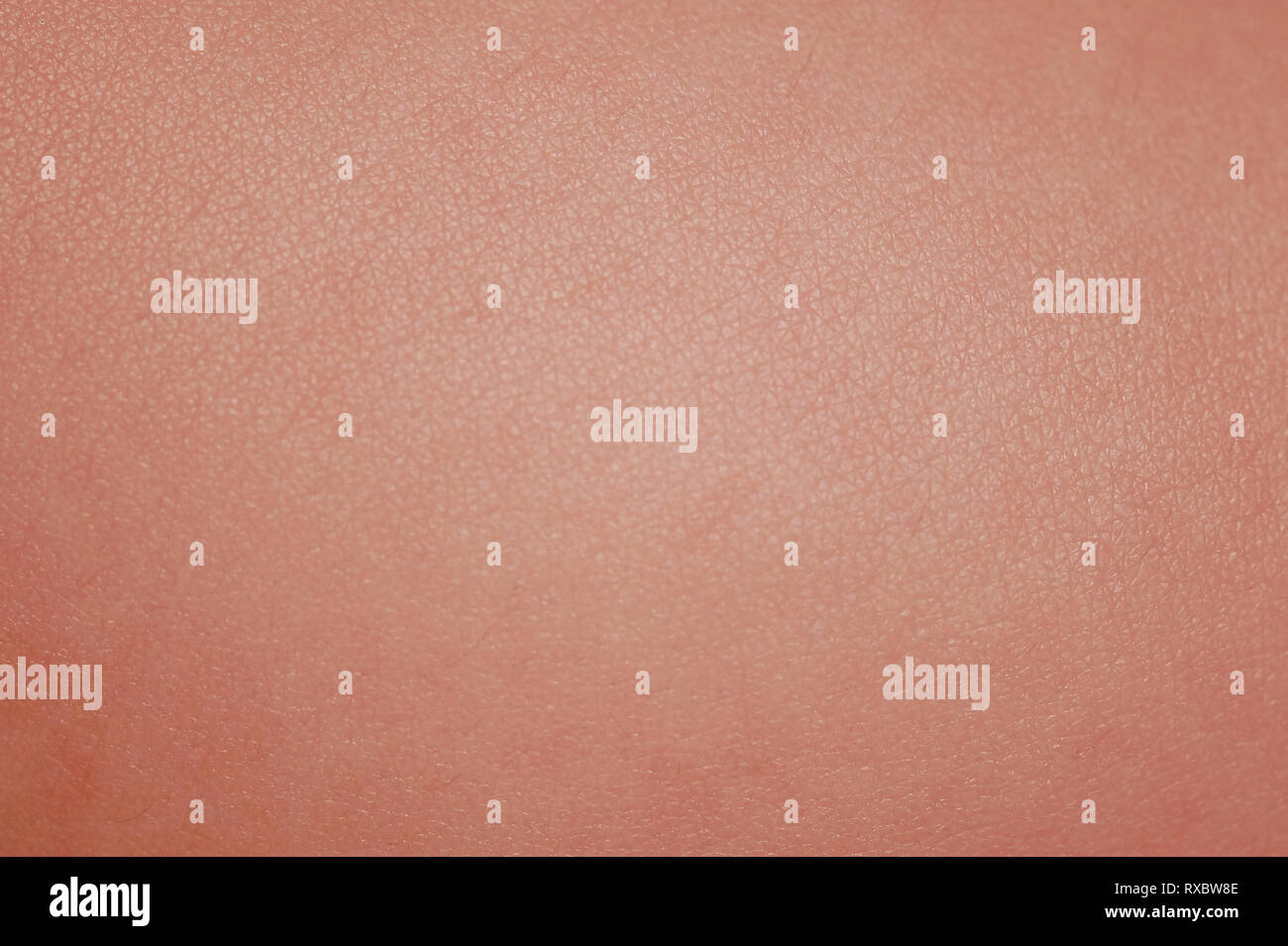 Human skin cells hi-res stock photography and images - Alamy