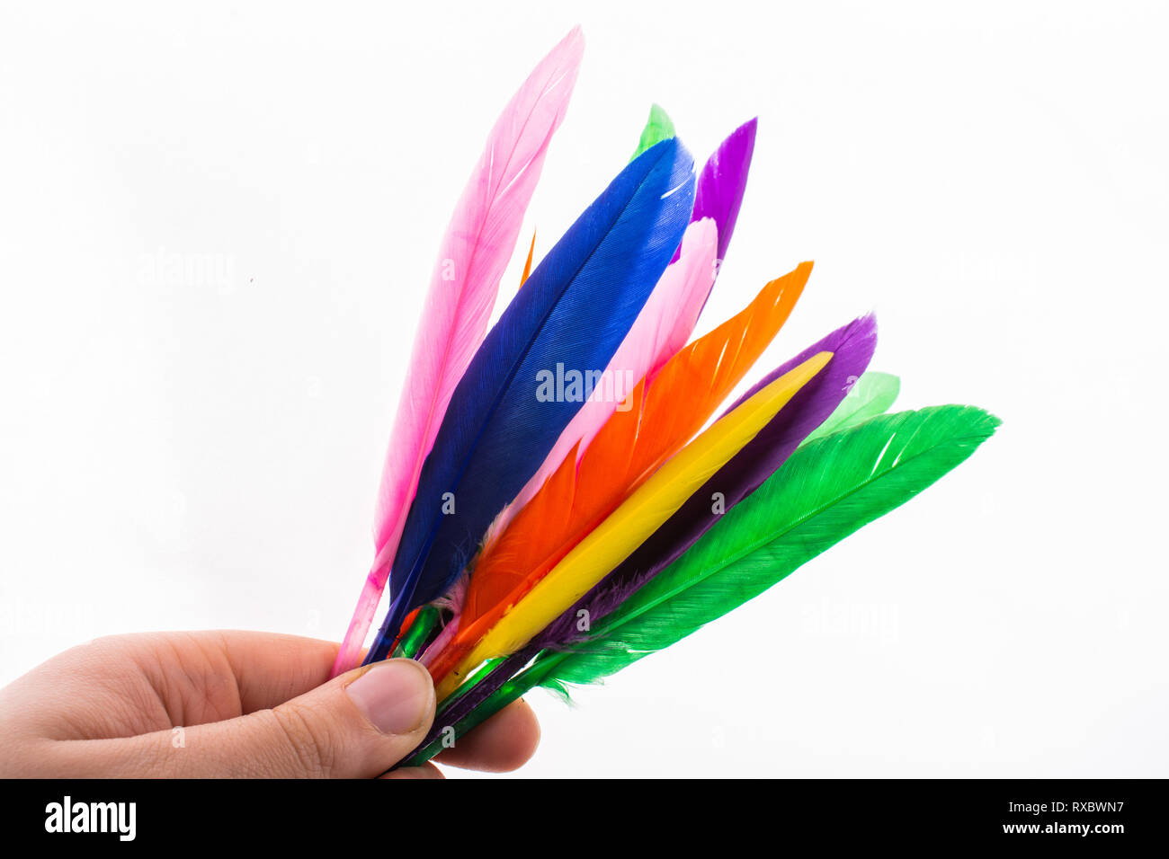 Close up hand holding feathers hi-res stock photography and images - Alamy