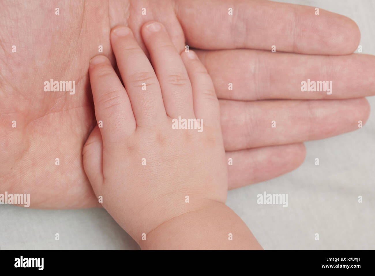 Hand holding little baby hands hi-res stock photography and images - Alamy