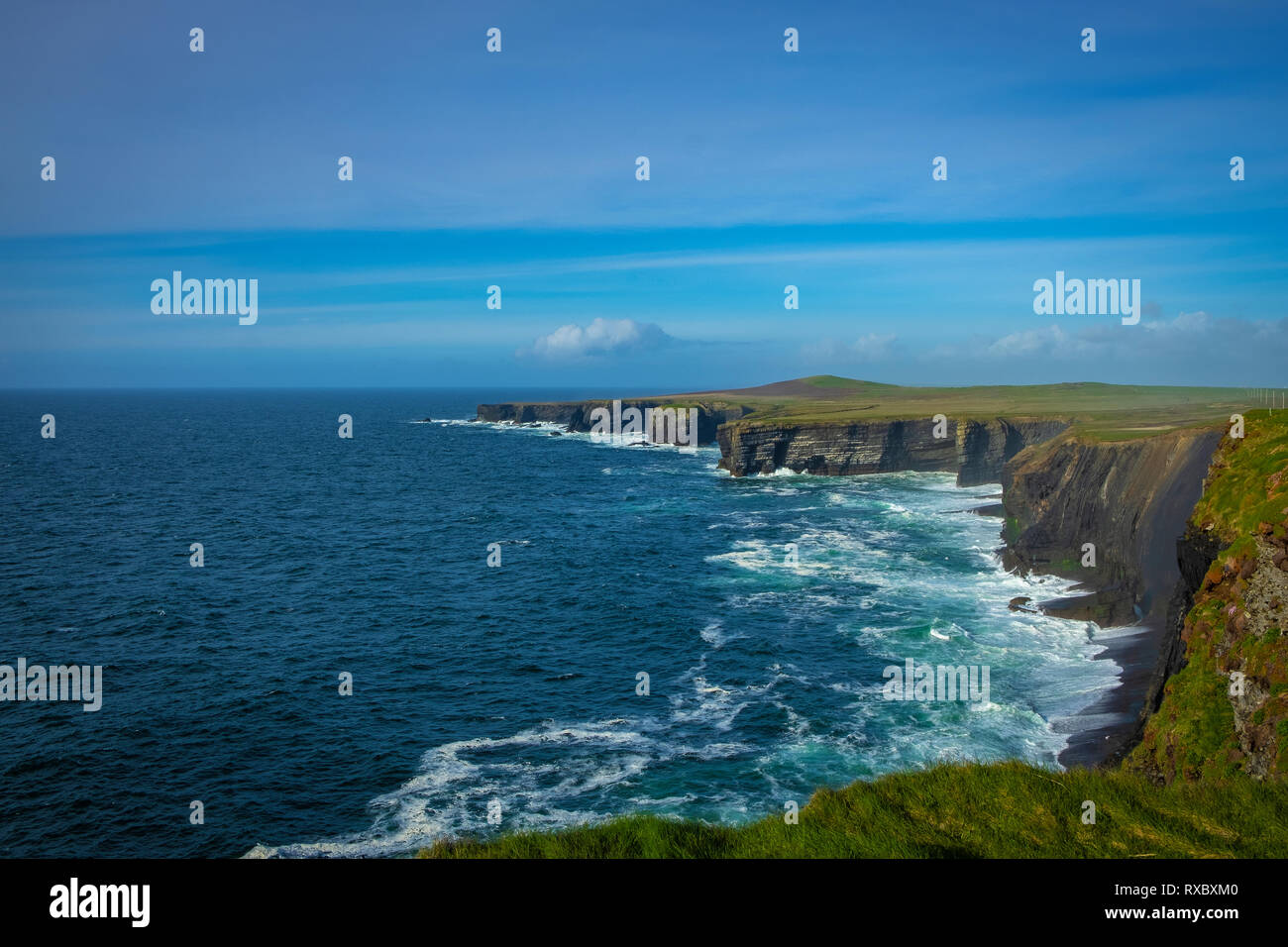 Sheeps head loop hi-res stock photography and images - Alamy