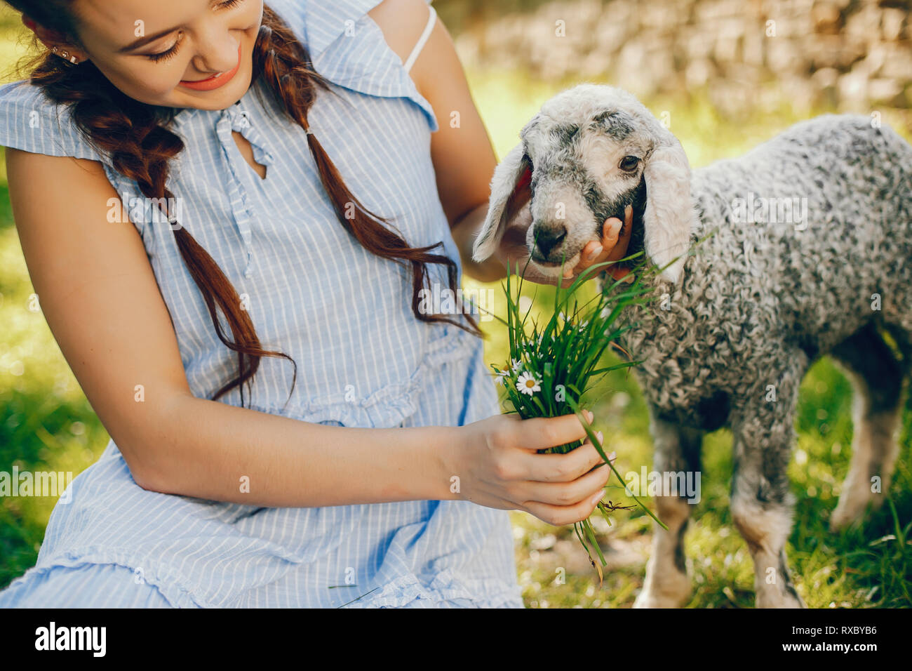 beautiful girl with goat Stock Photo - Alamy