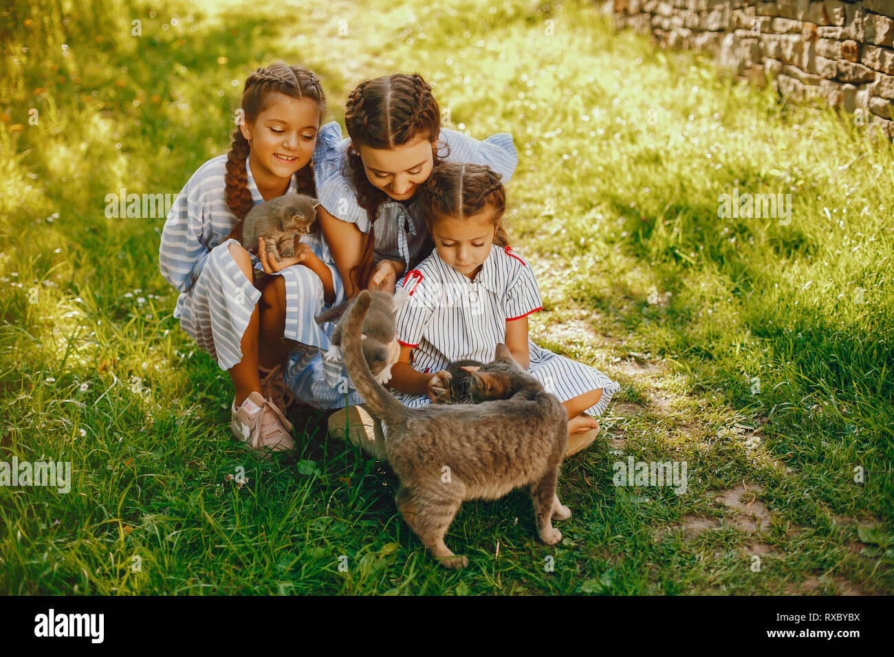 three beautiful girls with cats Stock Photo - Alamy