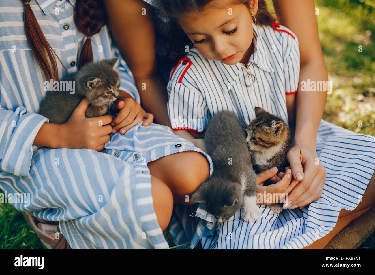 three beautiful girls with cats Stock Photo - Alamy