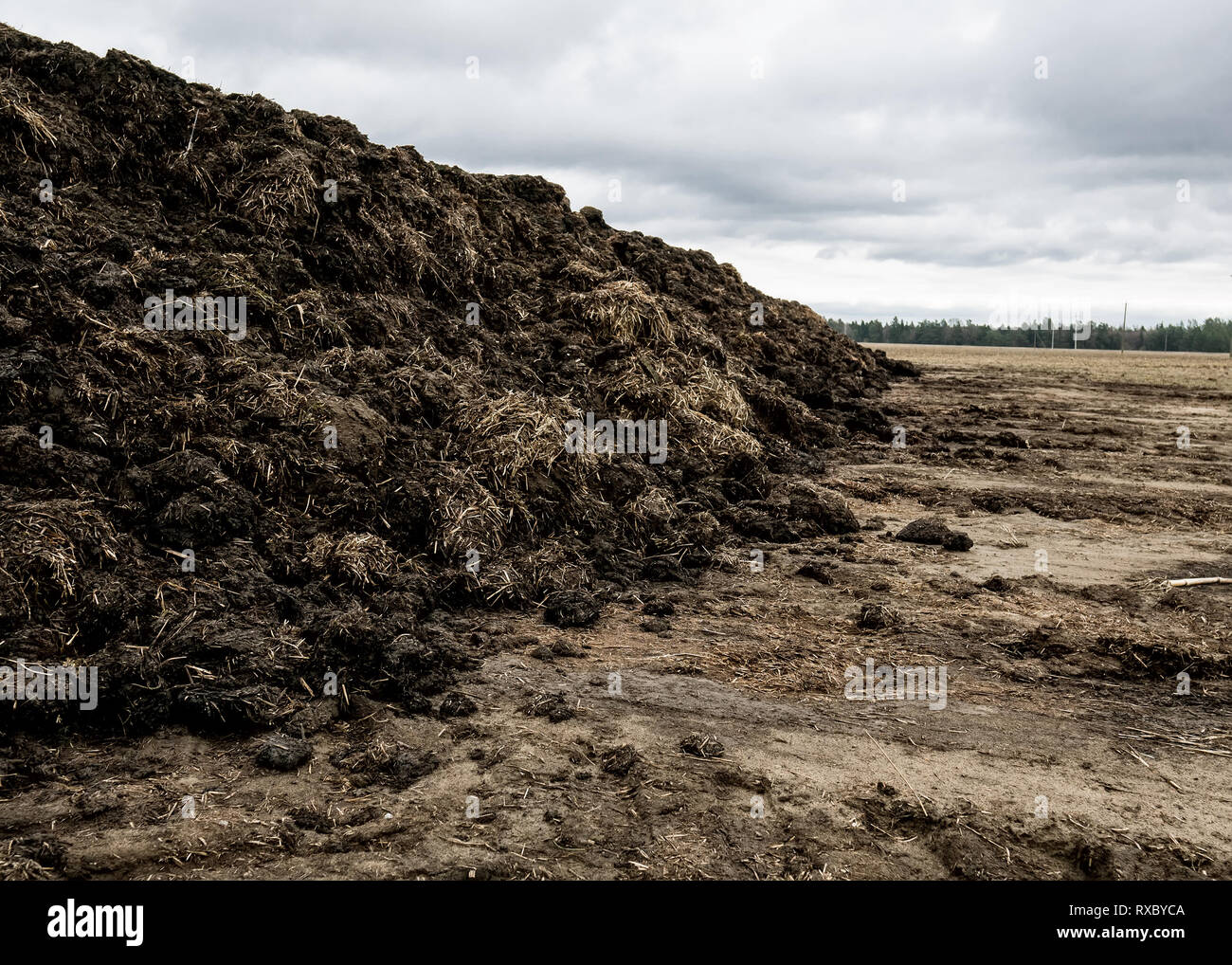 Pile of manure hi-res stock photography and images - Alamy