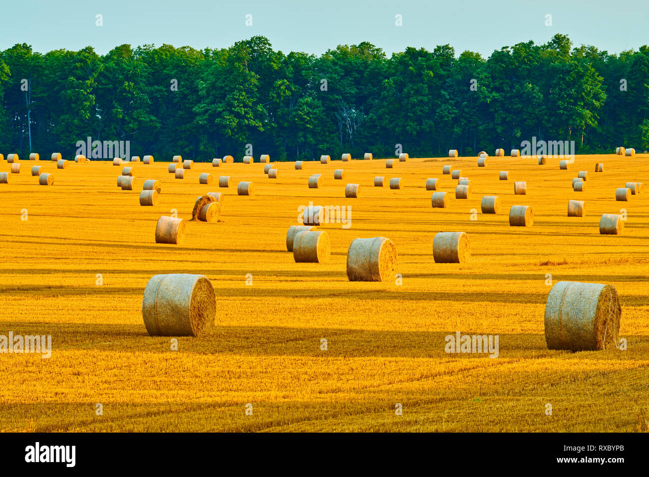 Dufferin county hi-res stock photography and images - Alamy