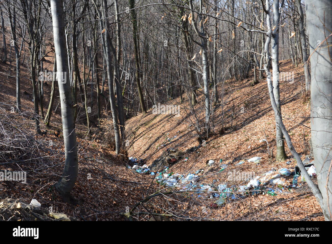 Human culture of today''s pollution of nature and forest Stock Photo ...