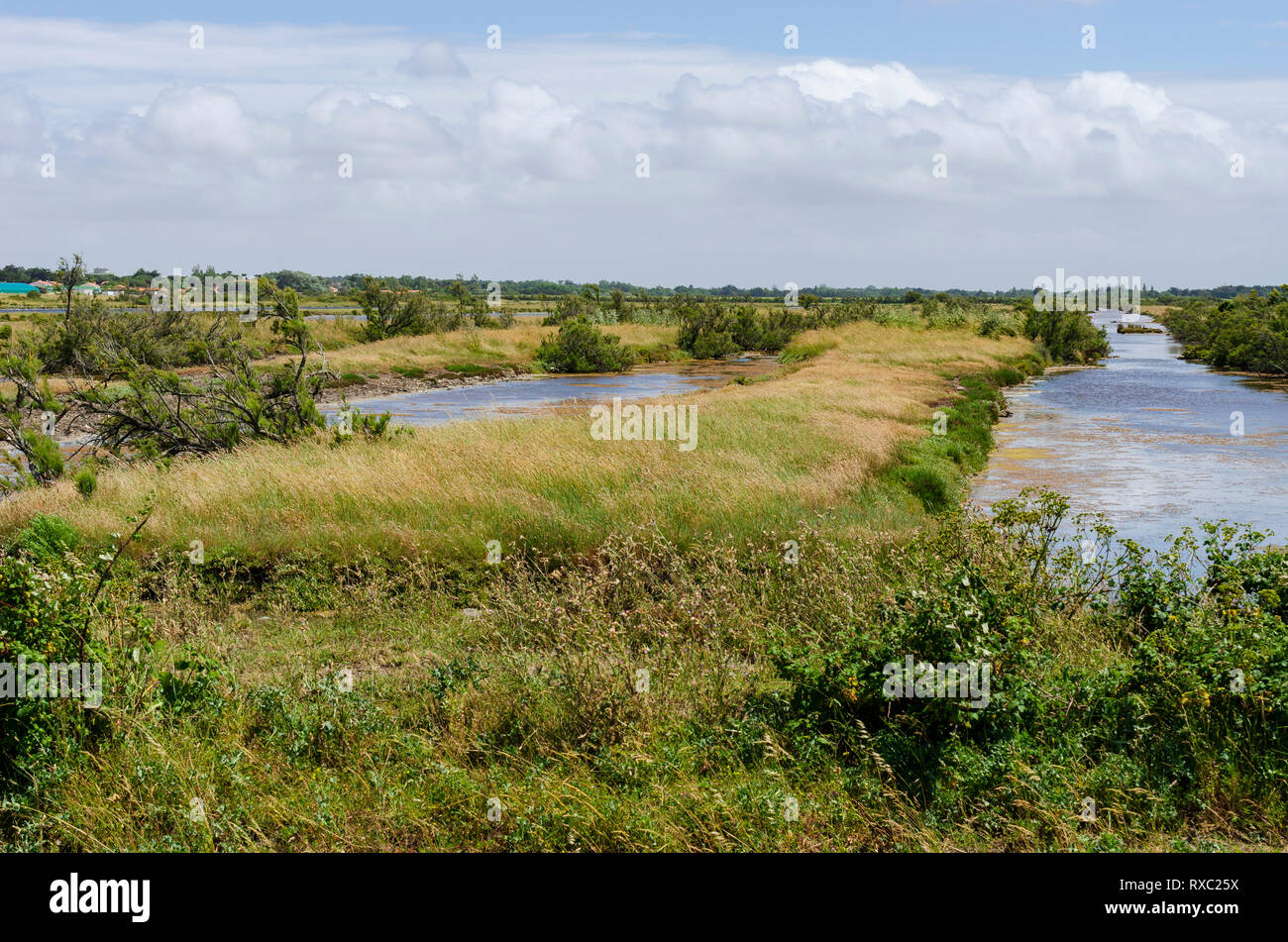Humid sodden waterlogged wet hi-res stock photography and images - Alamy