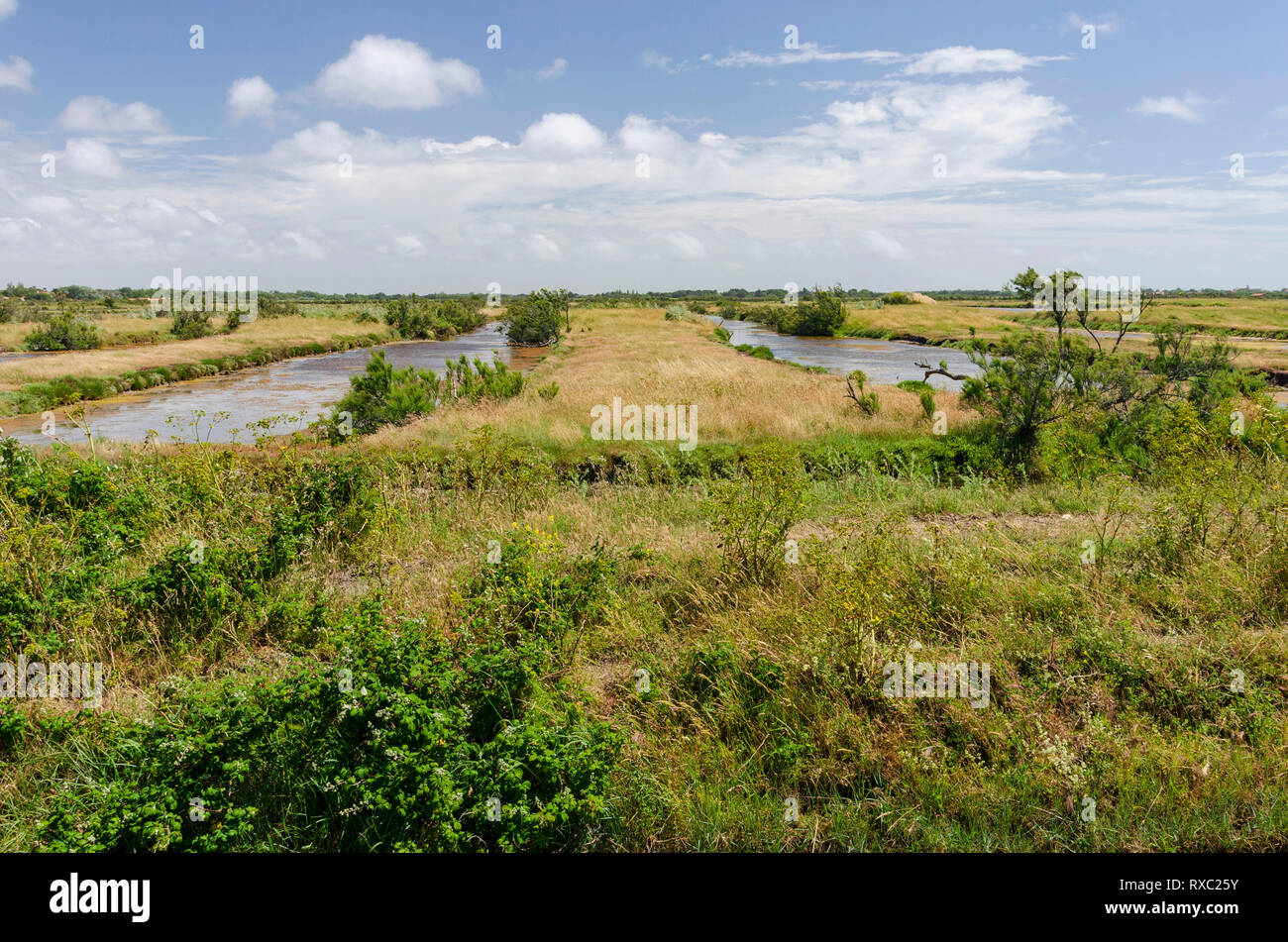 Humid sodden waterlogged wet hi-res stock photography and images - Alamy