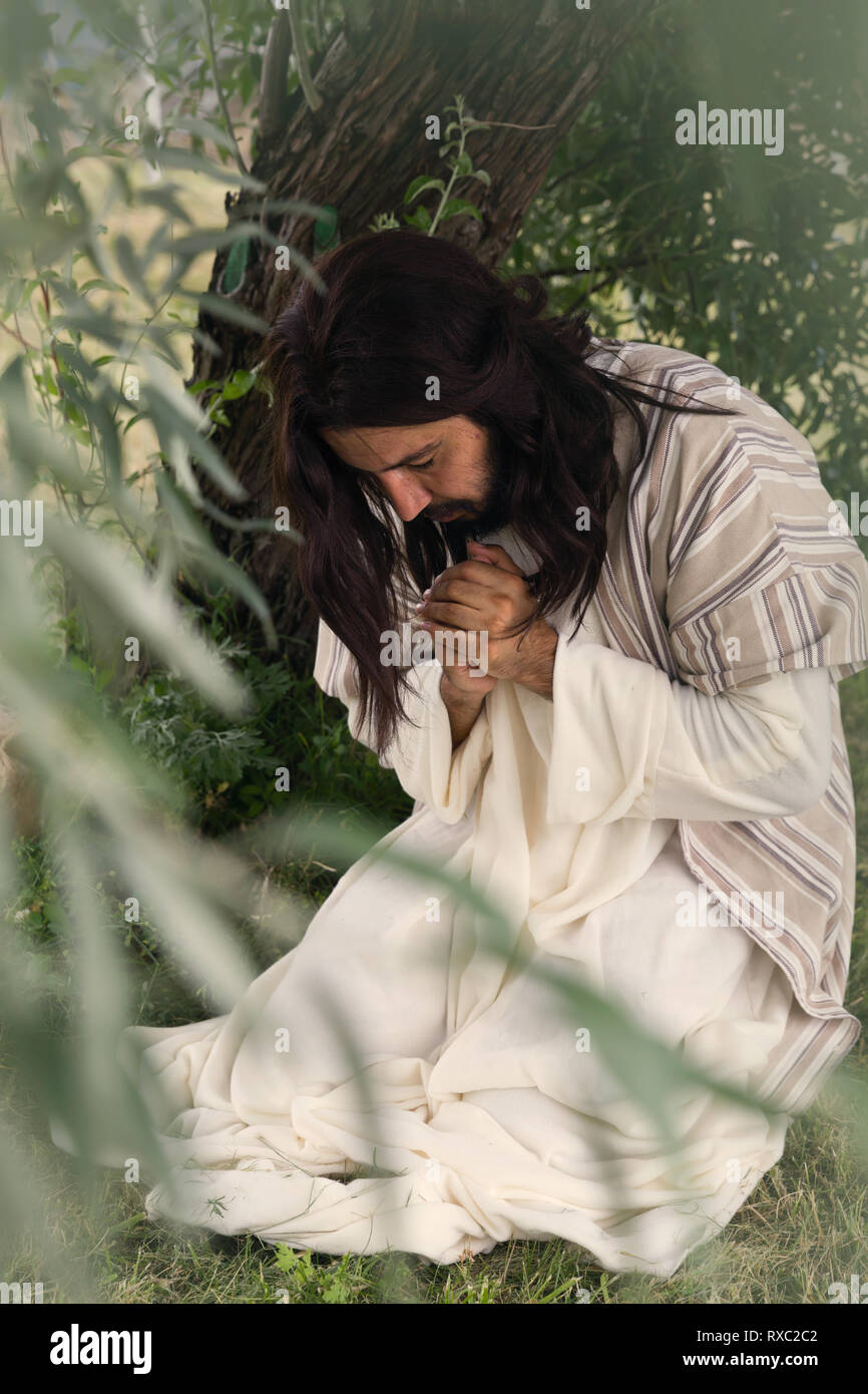 Jesus in agony praying in the garden of olives before his crucifixion ...