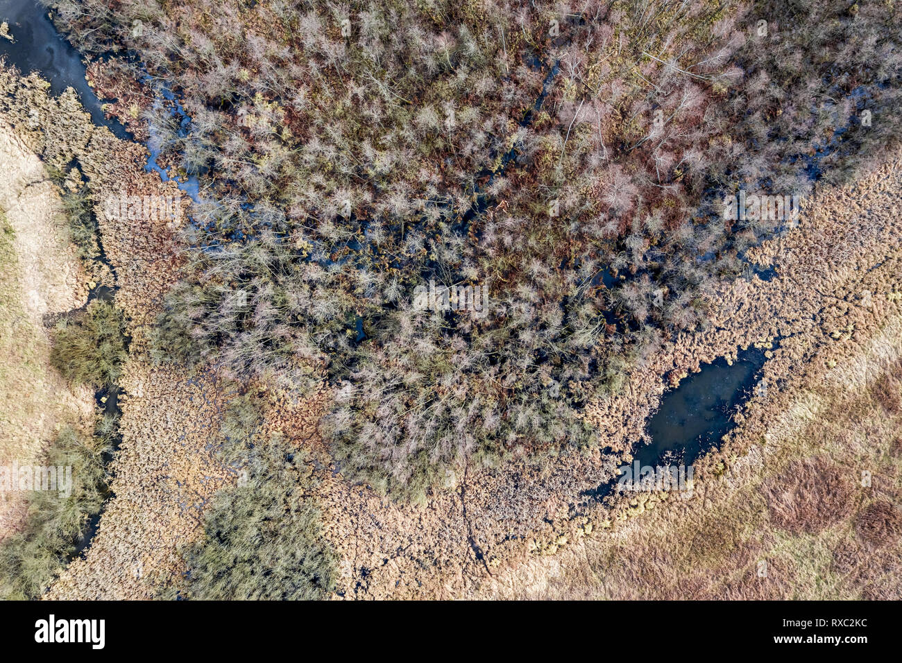 Flying above strange swamps and river in Poland Stock Photo - Alamy