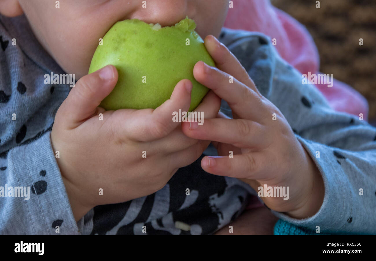 Closeup of a small child chewing on a fresh apple image with copy space ...