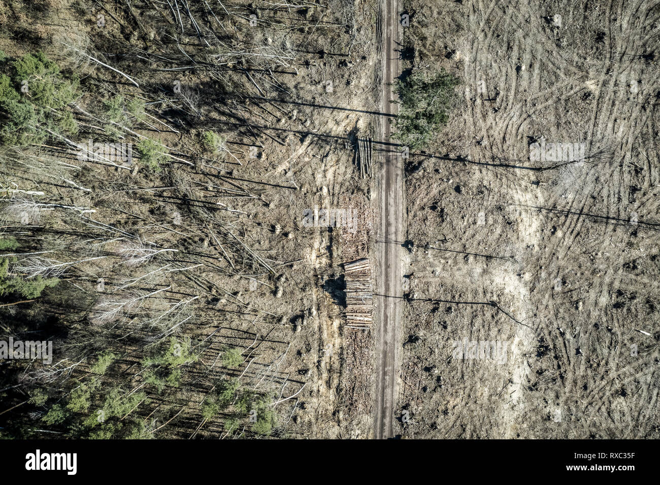 Flying above terrible deforestation, logging, environmental destruction ...