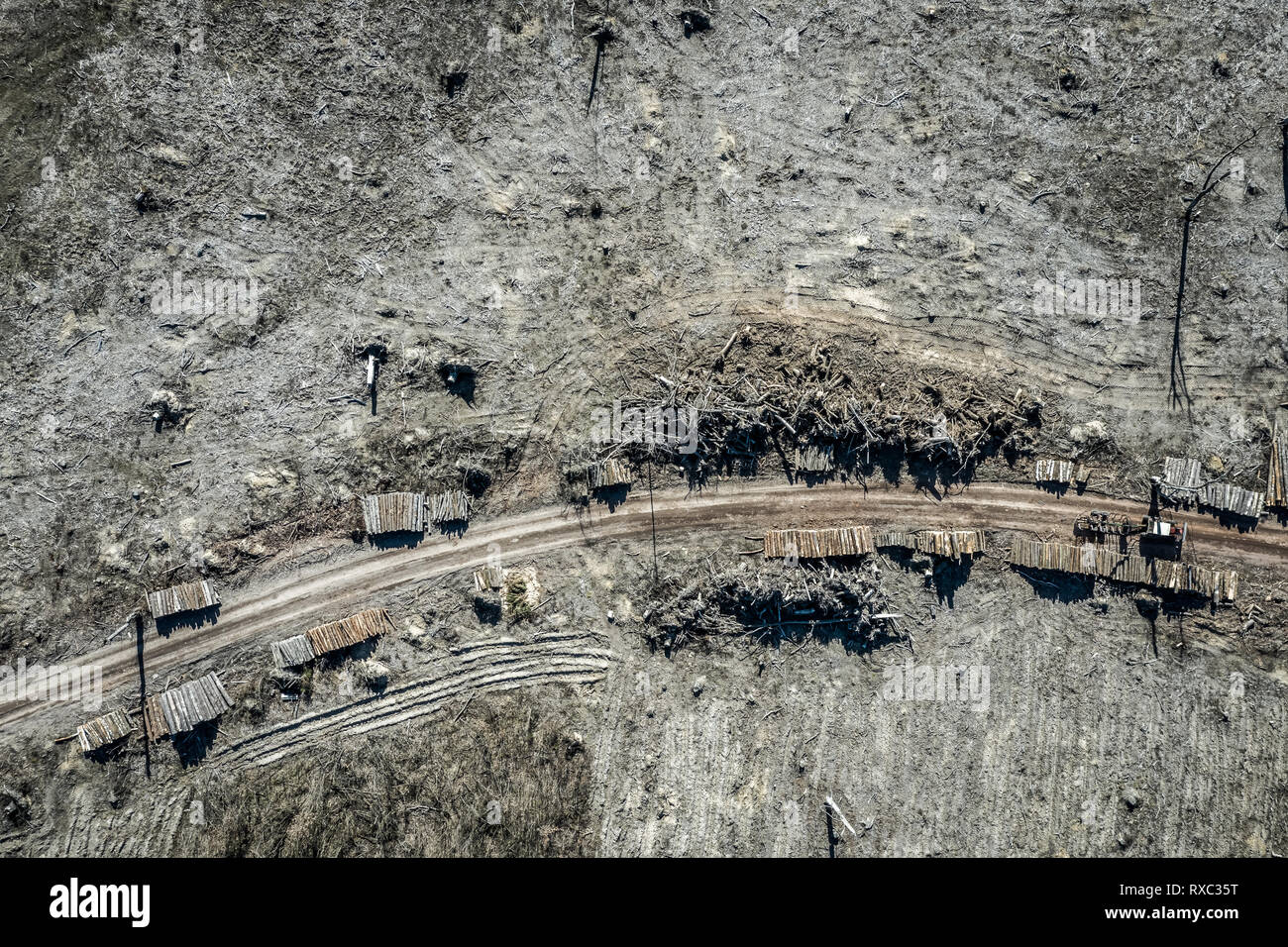 Aerial view of horrible deforestation, destroyed forest for harvesting ...