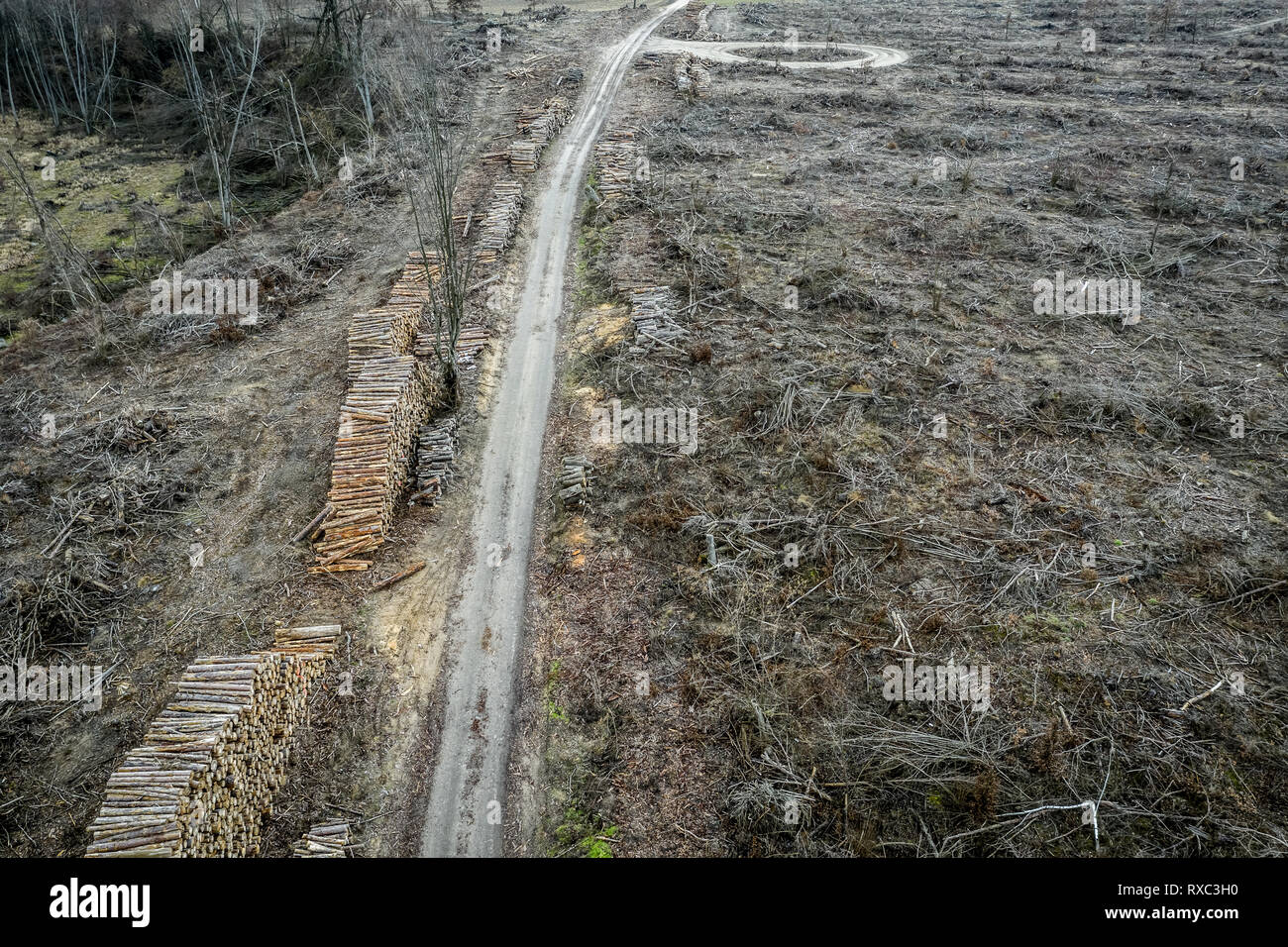 Aerial view of terrible deforestation, destroyed forest for harvesting ...