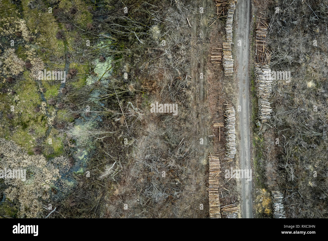 Aerial view of terrible deforestation, destroyed forest for harvesting ...