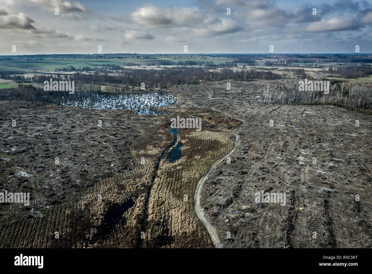 Aerial view of horrible deforestation, destroyed forest for harvesting ...