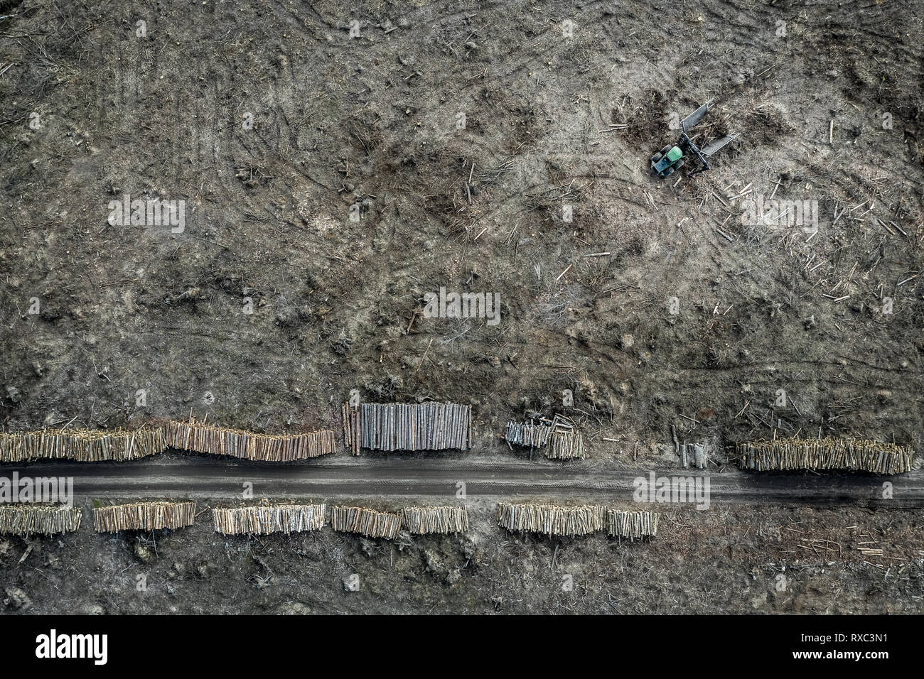Flying above terrible deforestation, destroyed forest for harvesting ...