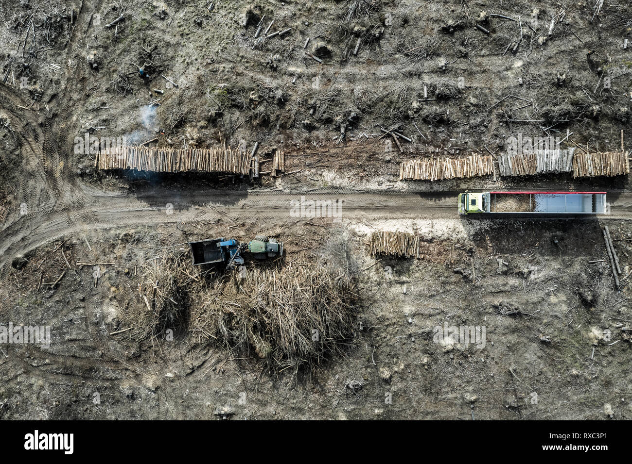 Aerial view of terrible deforestation. harvesting a forest, Europe ...
