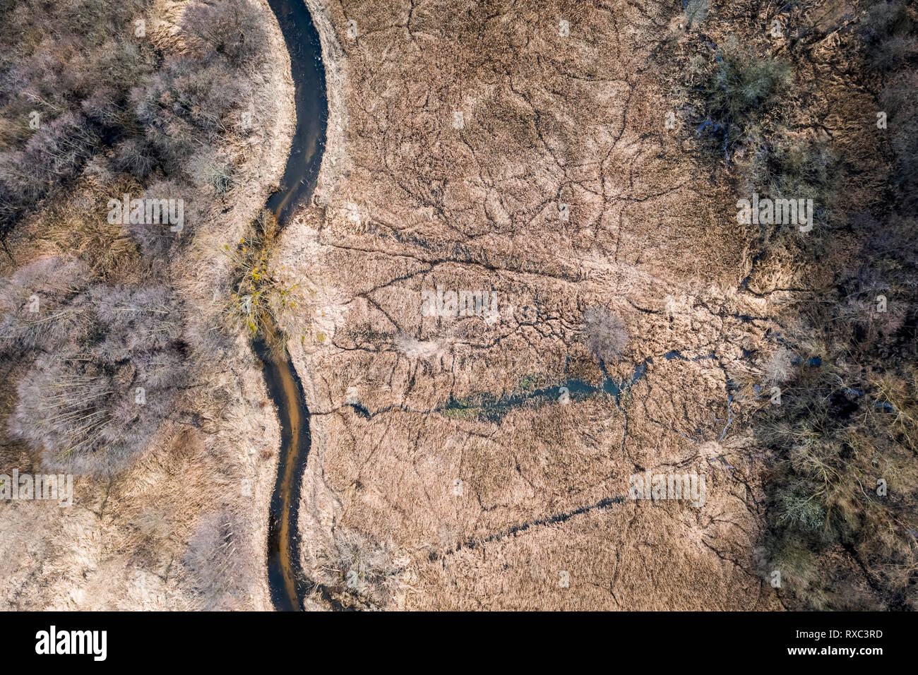Aerial view of strange swamps and river in Poland Stock Photo - Alamy