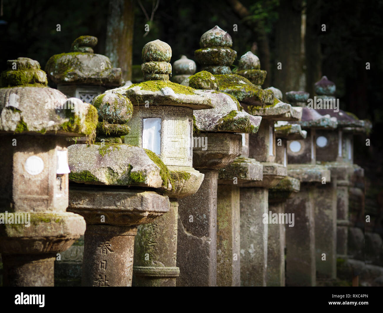 Nara koen park hi-res stock photography and images - Alamy