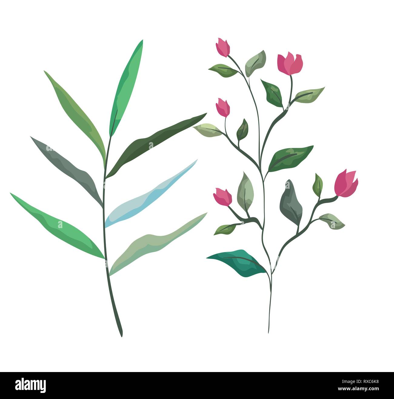 set flowers plants and branches leaves Stock Vector Image & Art - Alamy