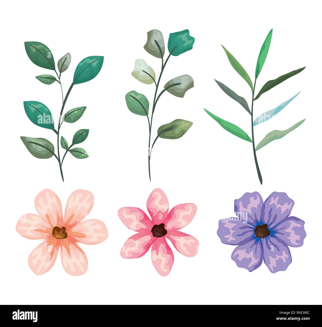 Botanic flowers plants branches Cut Out Stock Images & Pictures - Alamy