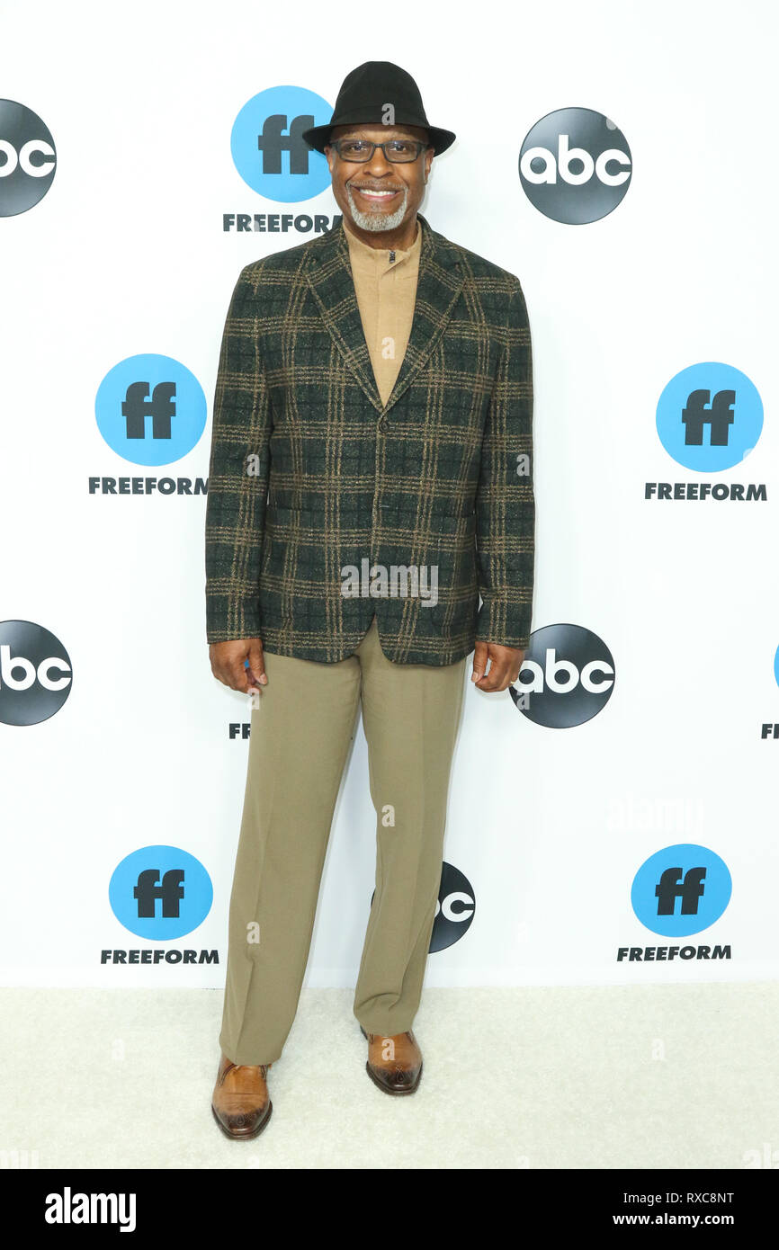 2019 Winter TCA Press Tour - Disney ABC Television held at the Langham ...