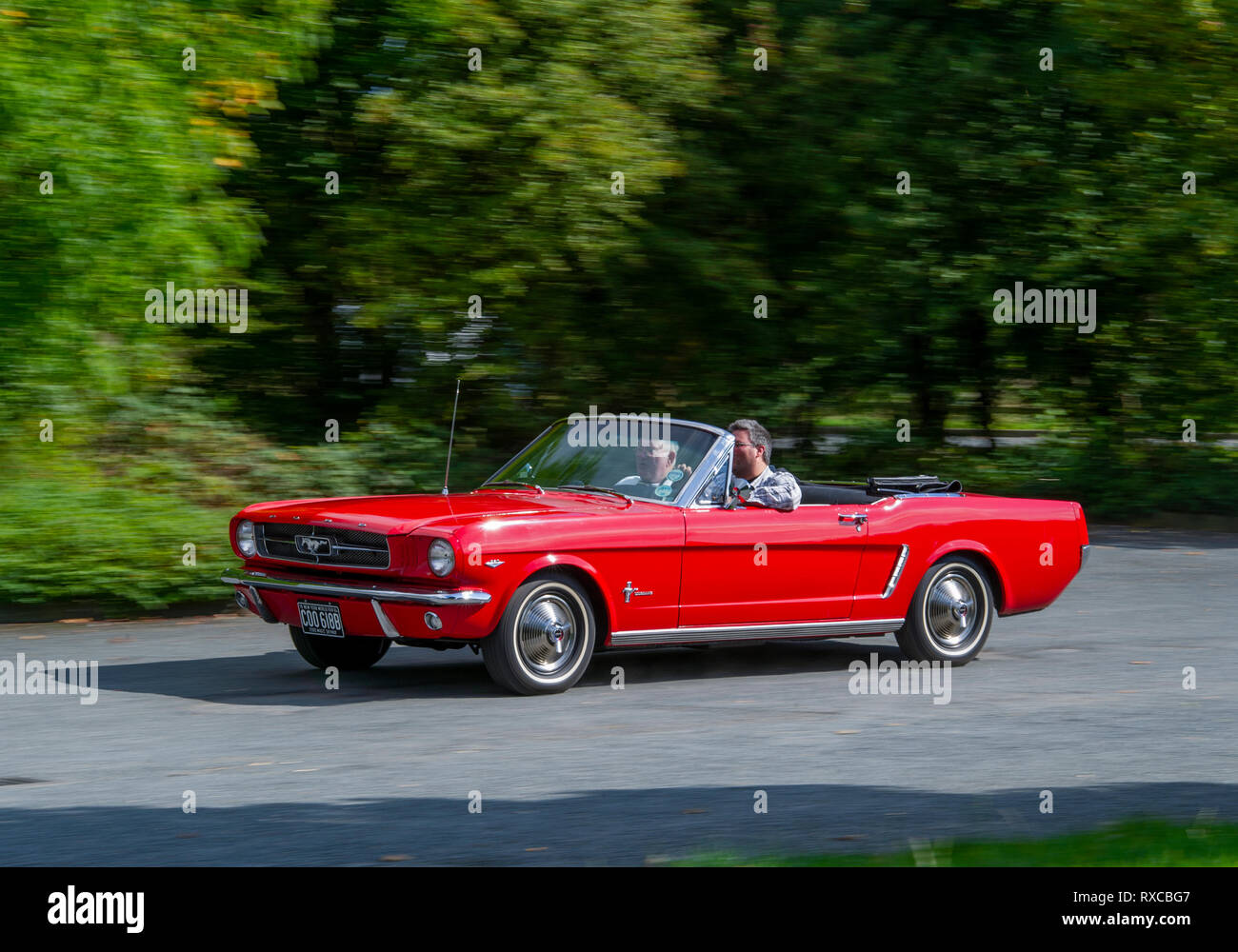 Ford mustang 1964 convertible hi-res stock photography and images - Alamy